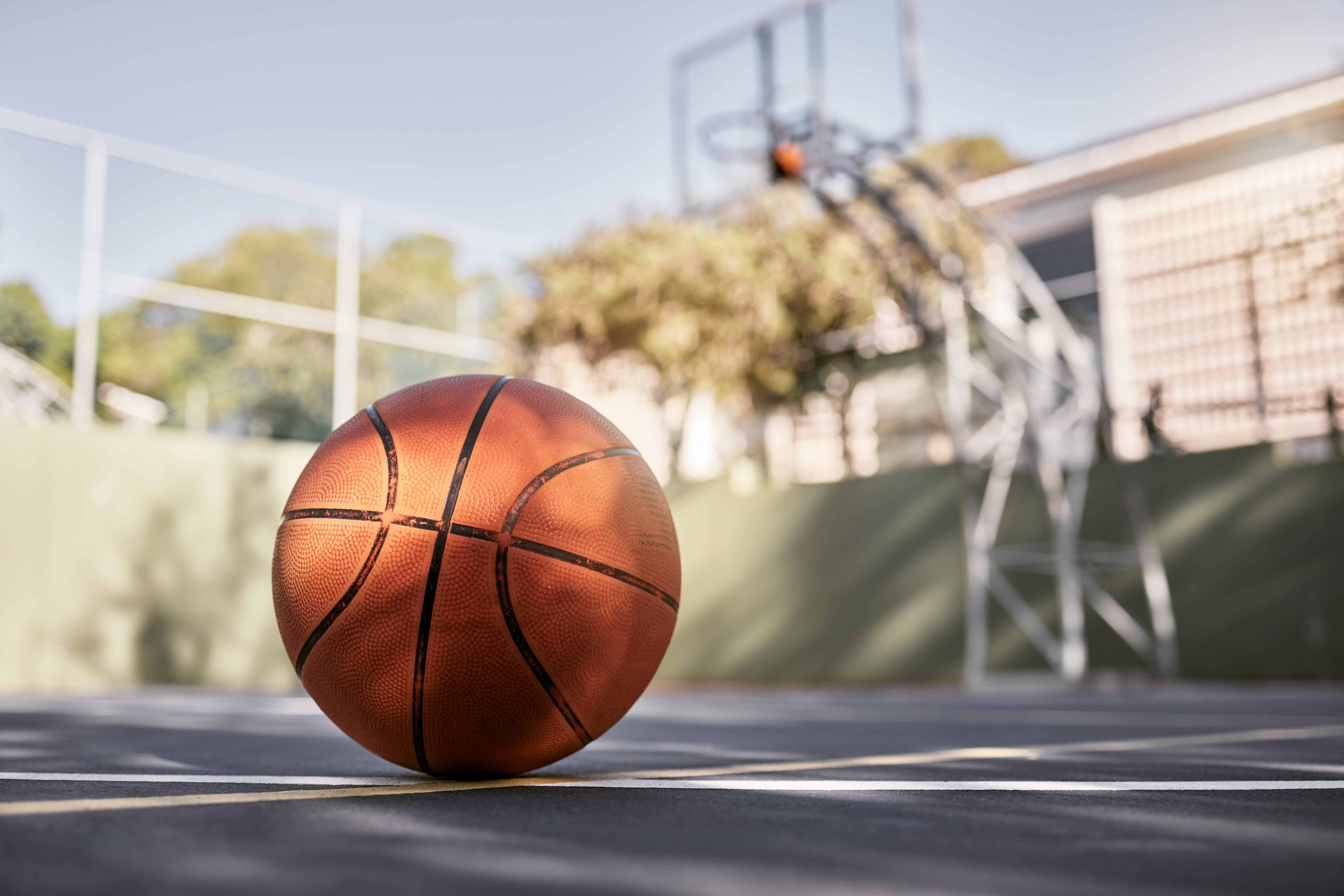Focus Group on Basketball - Maxion Research